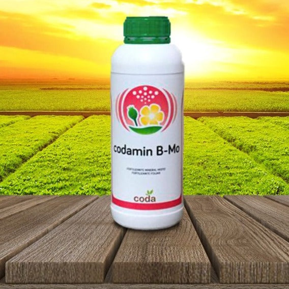 Codamin B-Mo 01 LT