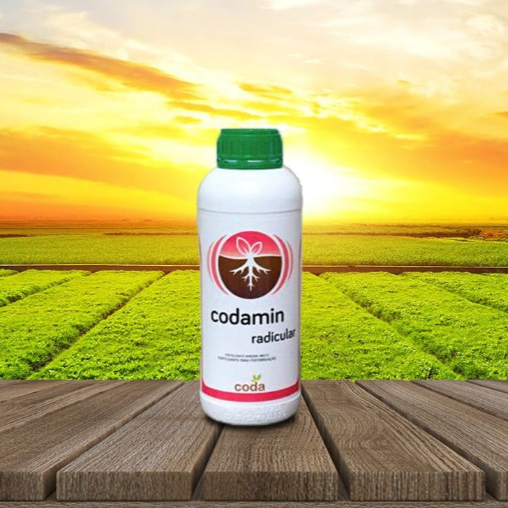 Codamin Radicular 01 LT