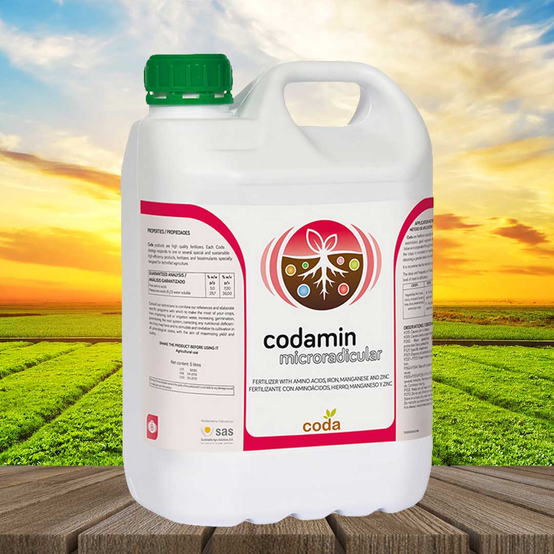 Codamin Microradicular 05 LT