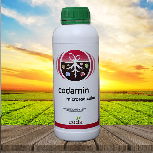 Codamin Microradicular 01 LT