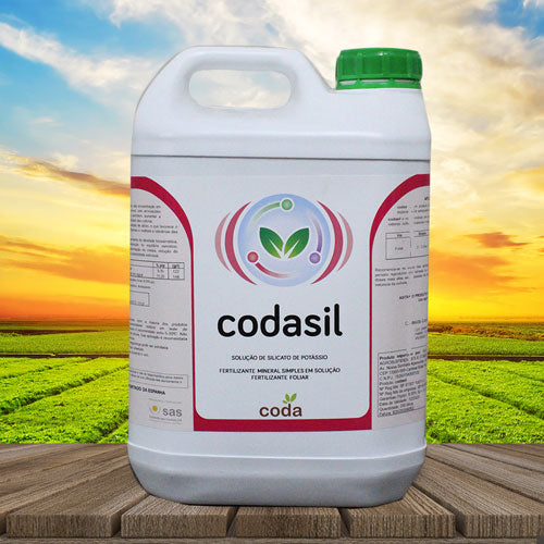 Codasil 05 LT